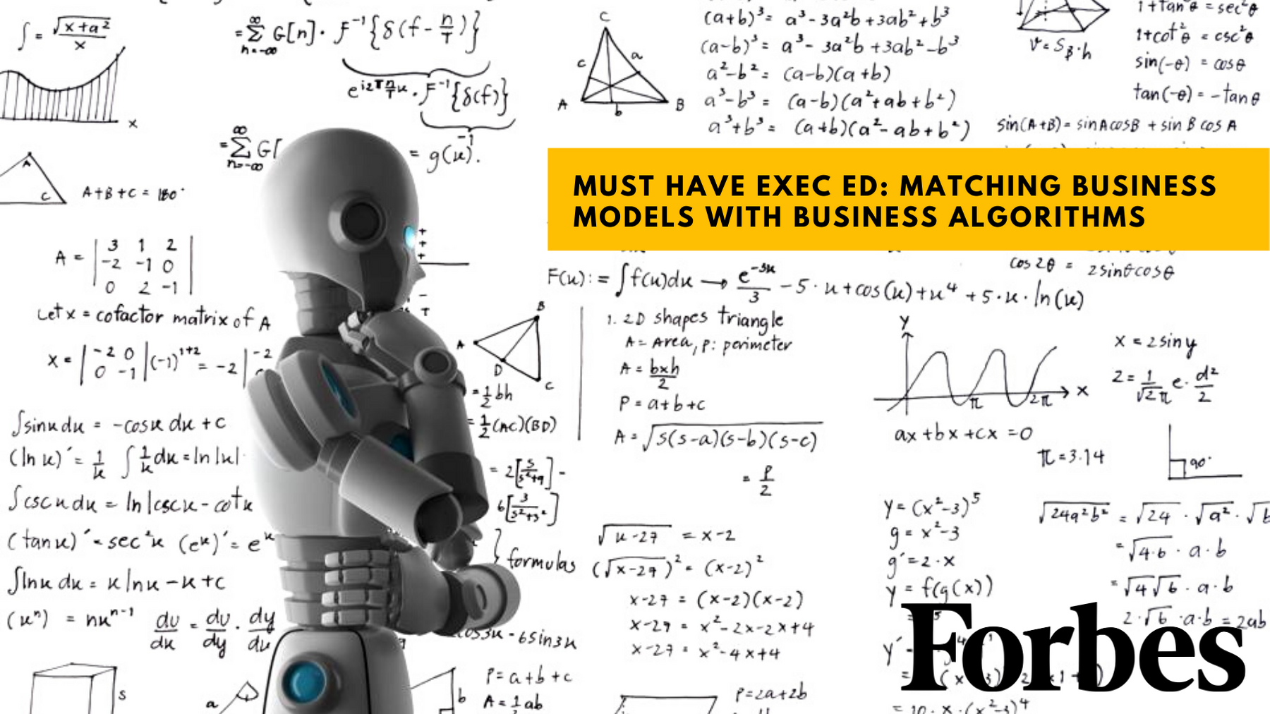Must Have Exec Ed: Matching Business Models With Business Algorithms
